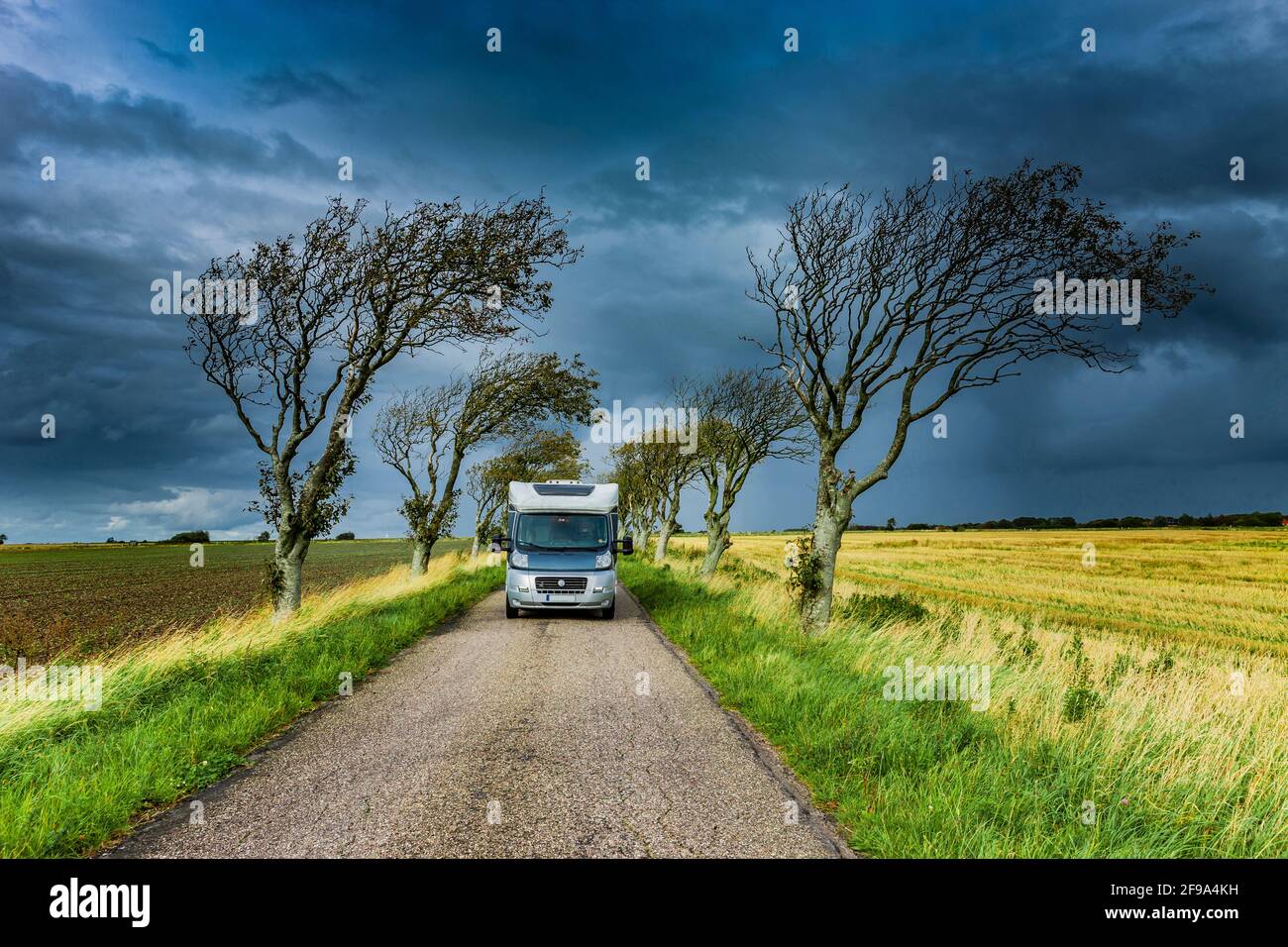 Guida su una strada di campagna immagini e fotografie stock ad alta ...