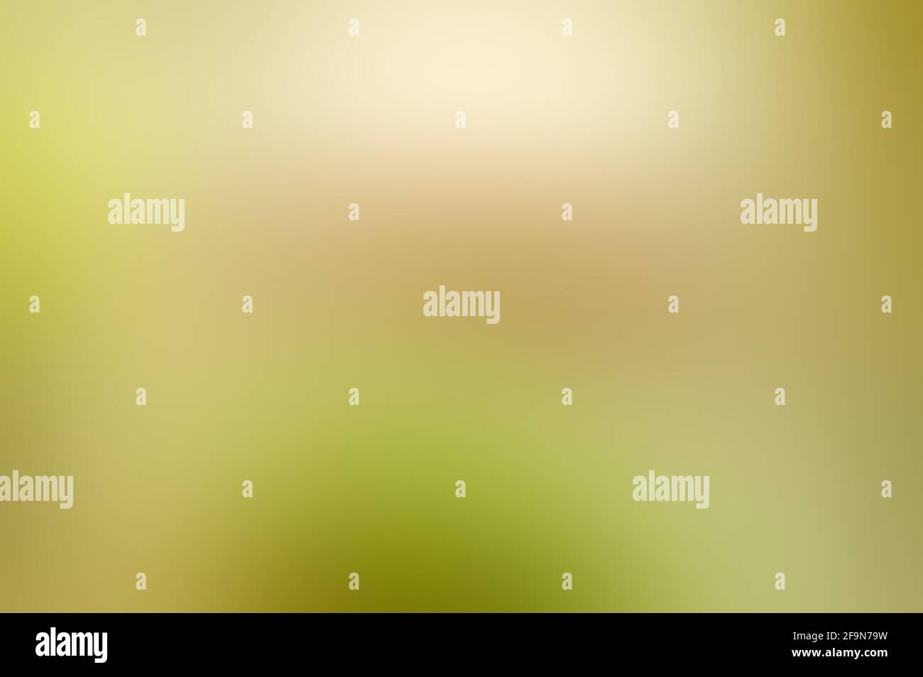 Sfondo verde oliva chiaro immagini e fotografie stock ad alta ...