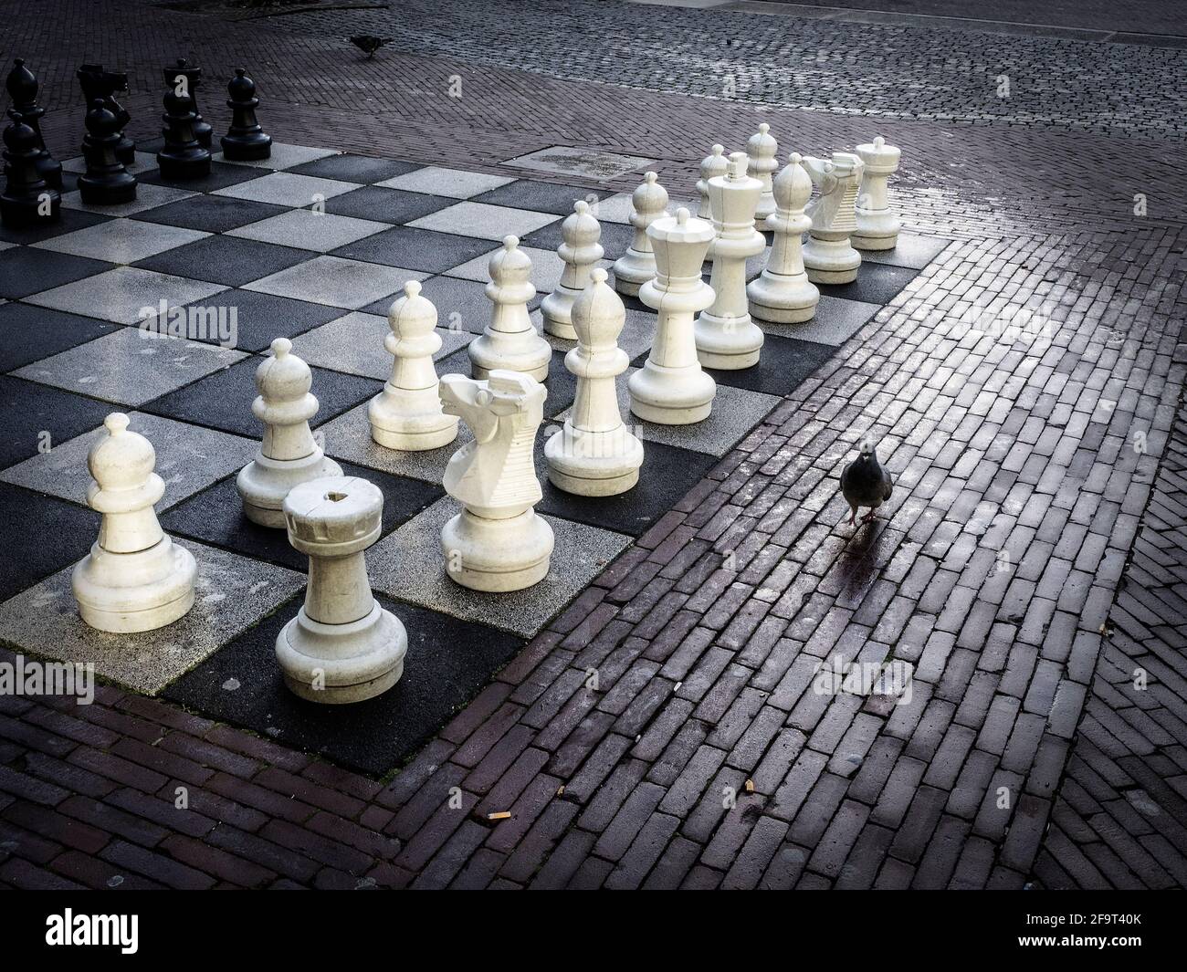 Grandi scacchi immagini e fotografie stock ad alta risoluzione - Alamy