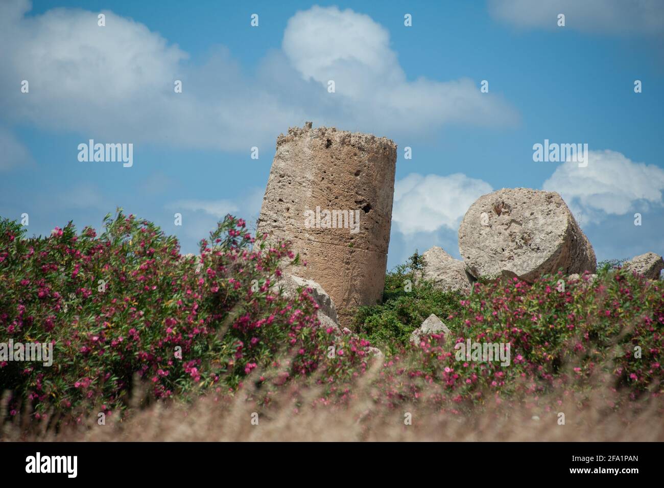 Tempio periptero immagini e fotografie stock ad alta risoluzione - Alamy