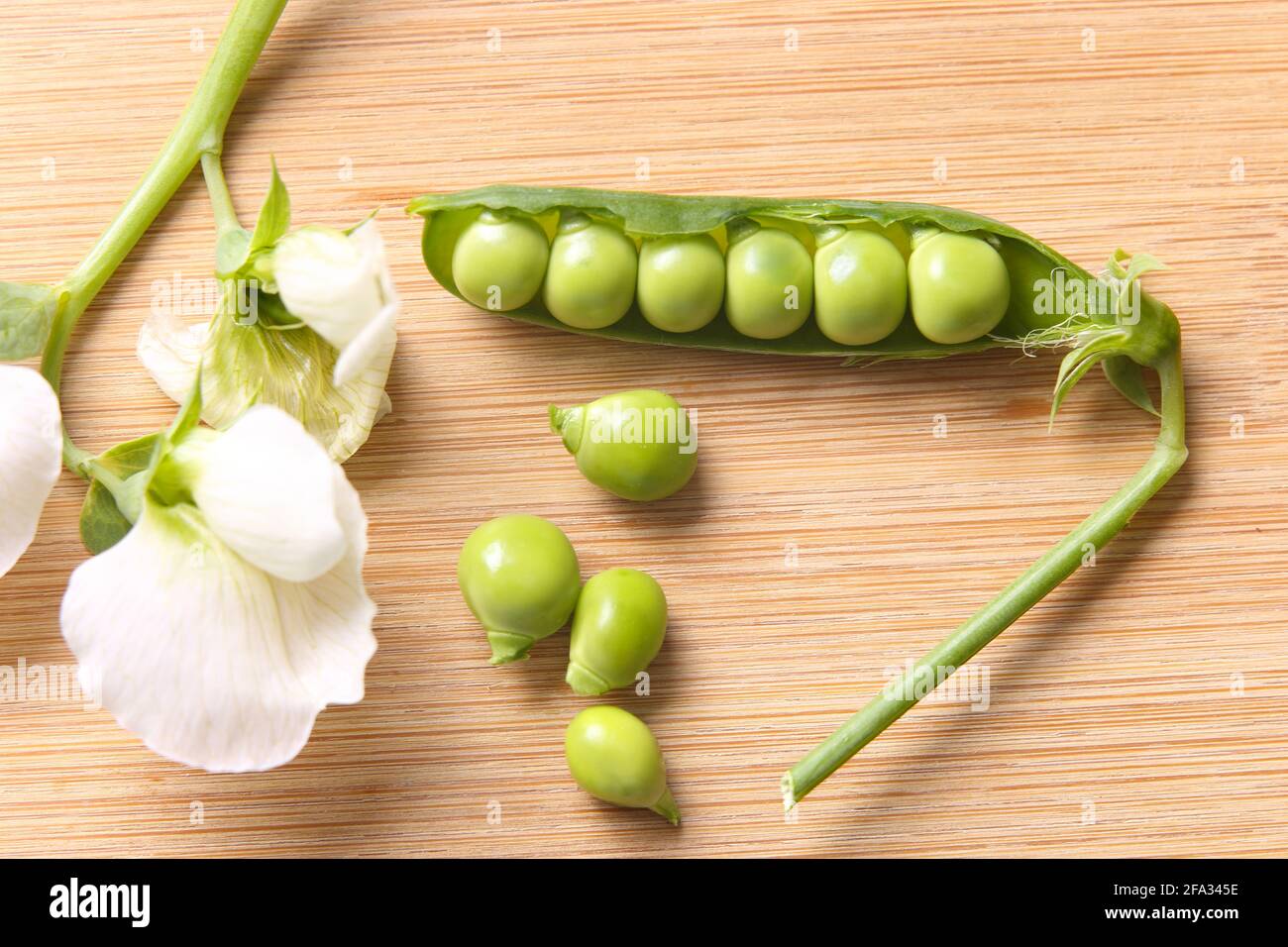 Piselli sulla pianta immagini e fotografie stock ad alta risoluzione ...