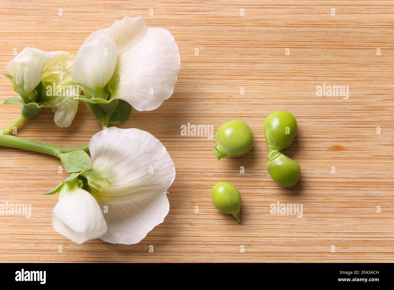 Piselli sulla pianta immagini e fotografie stock ad alta risoluzione ...