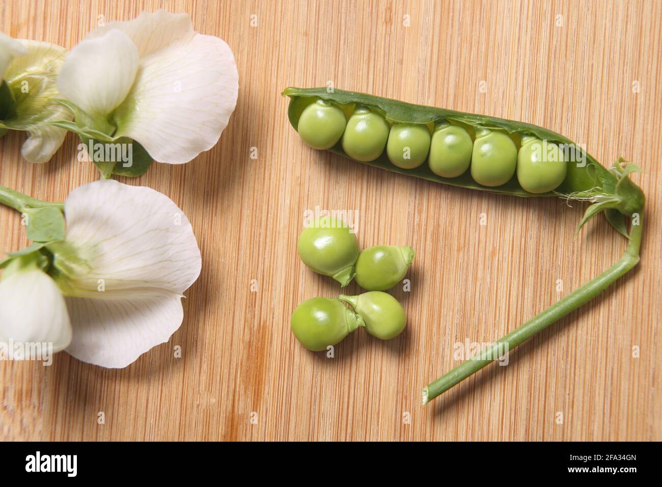 Piselli sulla pianta immagini e fotografie stock ad alta risoluzione ...
