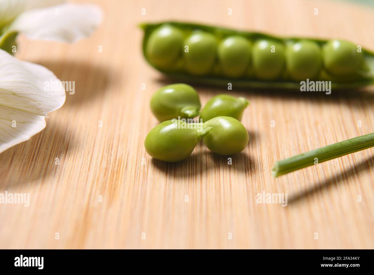 Piselli sulla pianta immagini e fotografie stock ad alta risoluzione ...