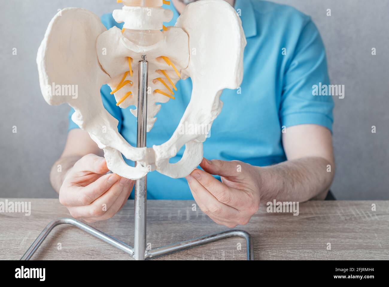 Tuberosità ischiatica immagini e fotografie stock ad alta risoluzione ...