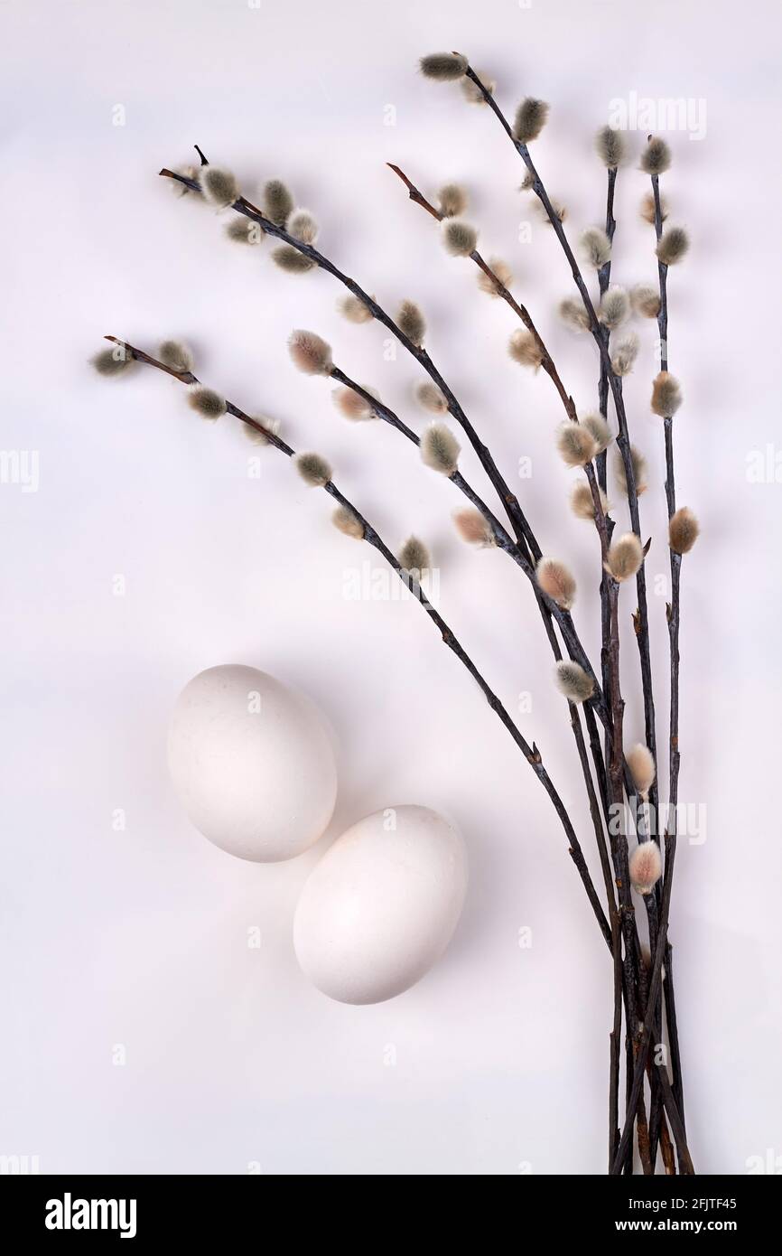 Salice di pasqua immagini e fotografie stock ad alta risoluzione - Alamy