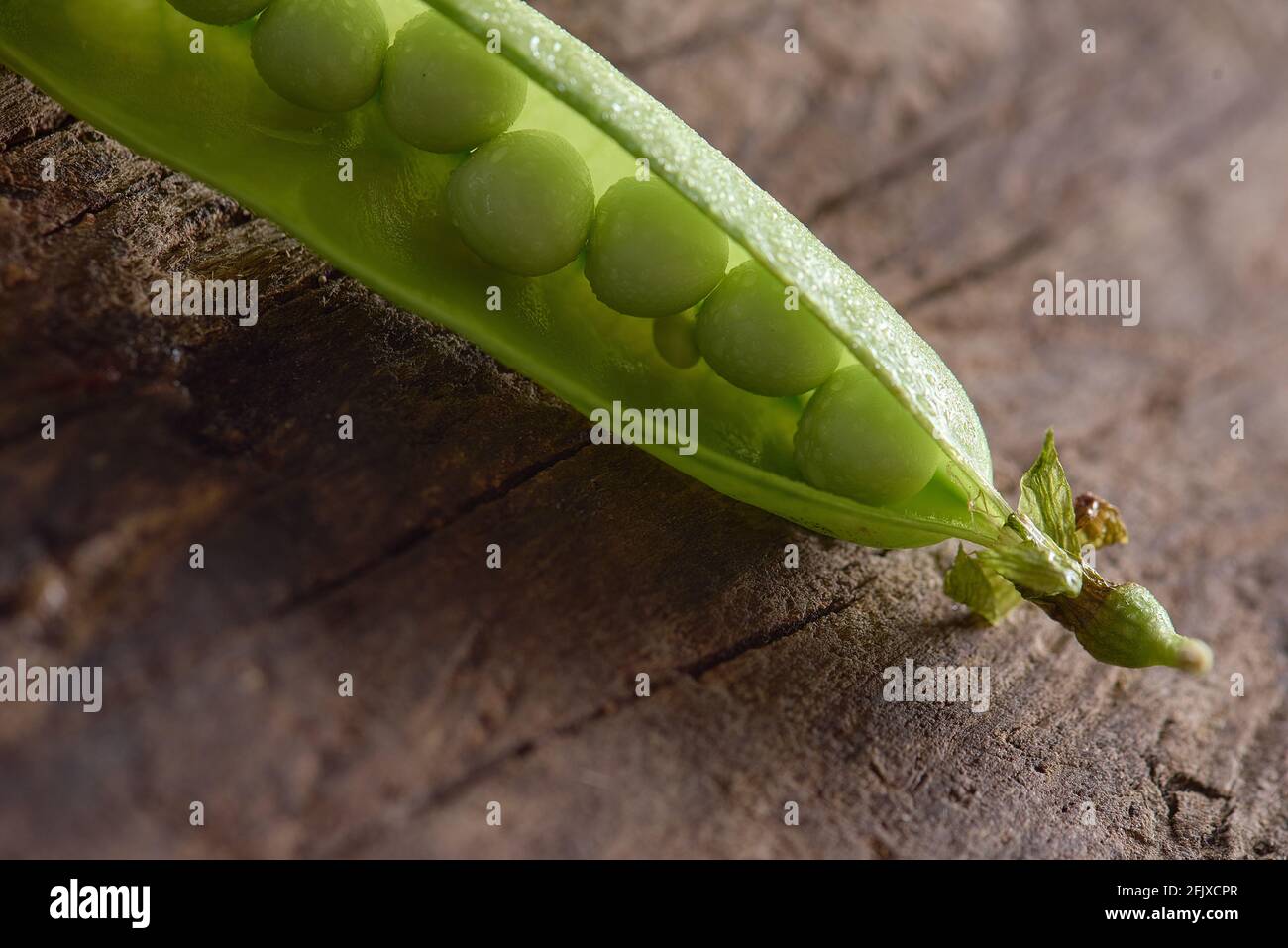 Legno di piselli dolci immagini e fotografie stock ad alta risoluzione ...