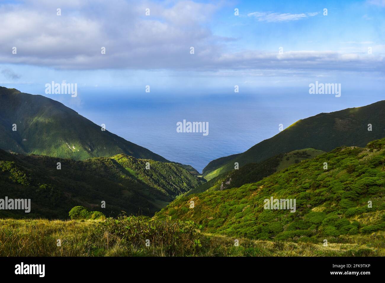 Cosa vedere in faial immagini e fotografie stock ad alta risoluzione ...