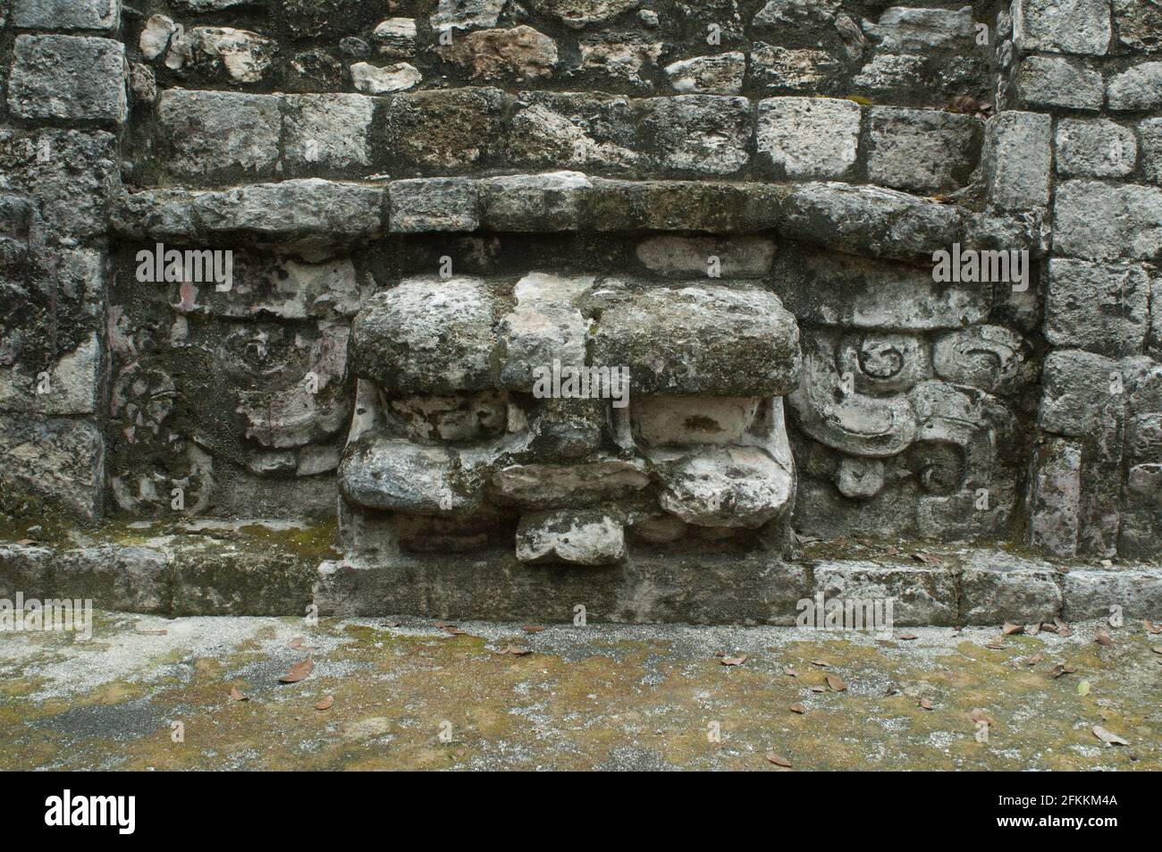 BALAMKU SIGNIFICA EN MAYA TEMPLO DEL JAGUAR LA ZONA ARQUEOLOGICA DE ...