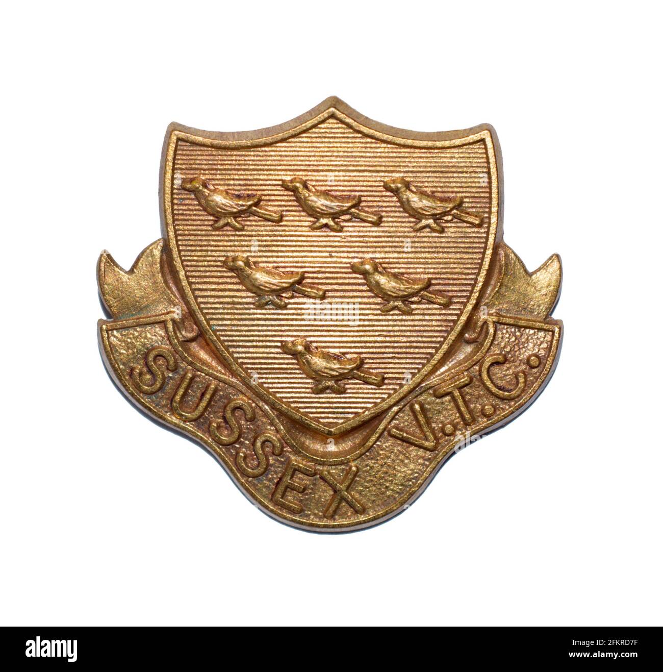 Emblema della cresta del distintivo del reggimento immagini e ...