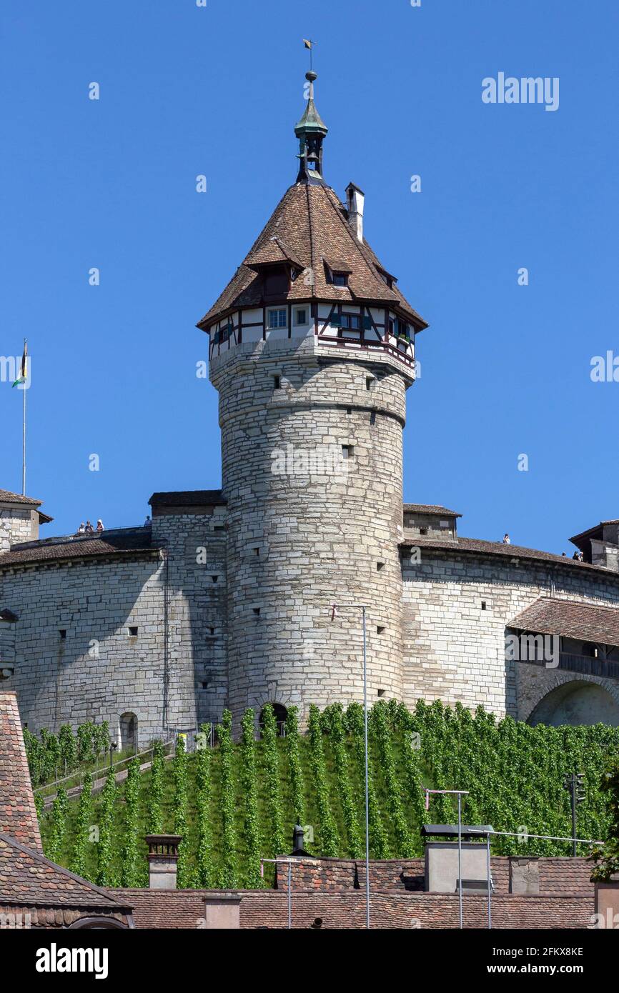 Il castello di munot a schaffhausen immagini e fotografie stock ad alta ...