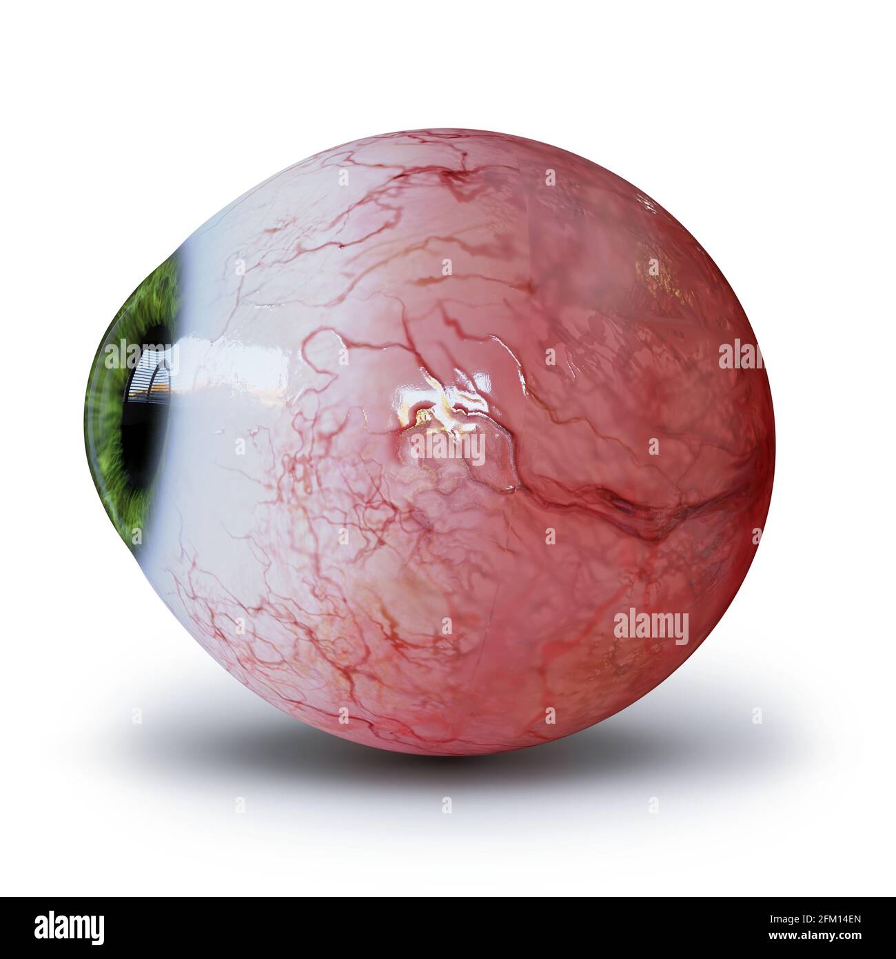 Bulbo oculare bianco immagini e fotografie stock ad alta risoluzione ...