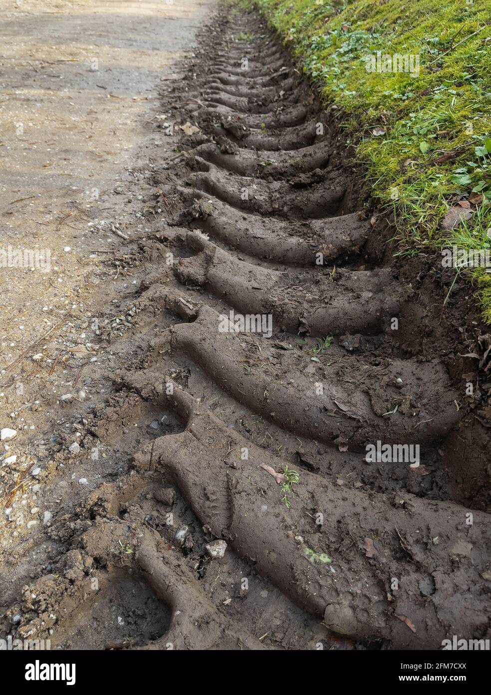 Macchina fangosa immagini e fotografie stock ad alta risoluzione - Alamy