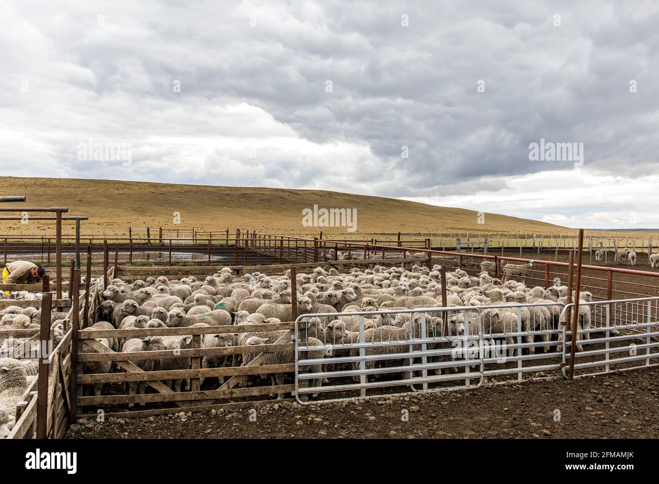 Sheep enclosures immagini e fotografie stock ad alta risoluzione - Alamy