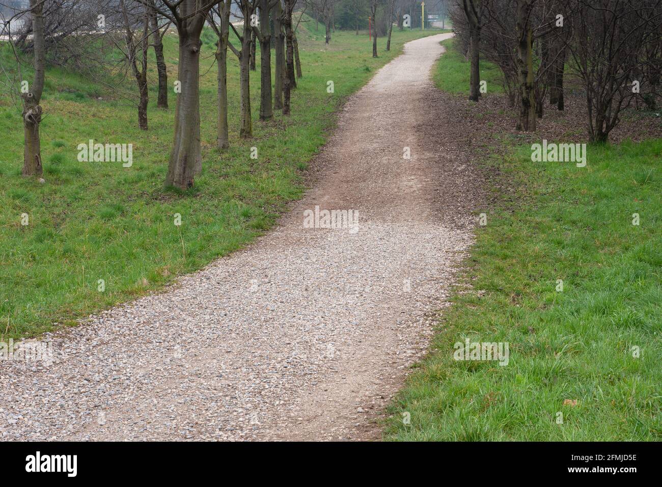 Tronco lungo e sottile immagini e fotografie stock ad alta risoluzione ...