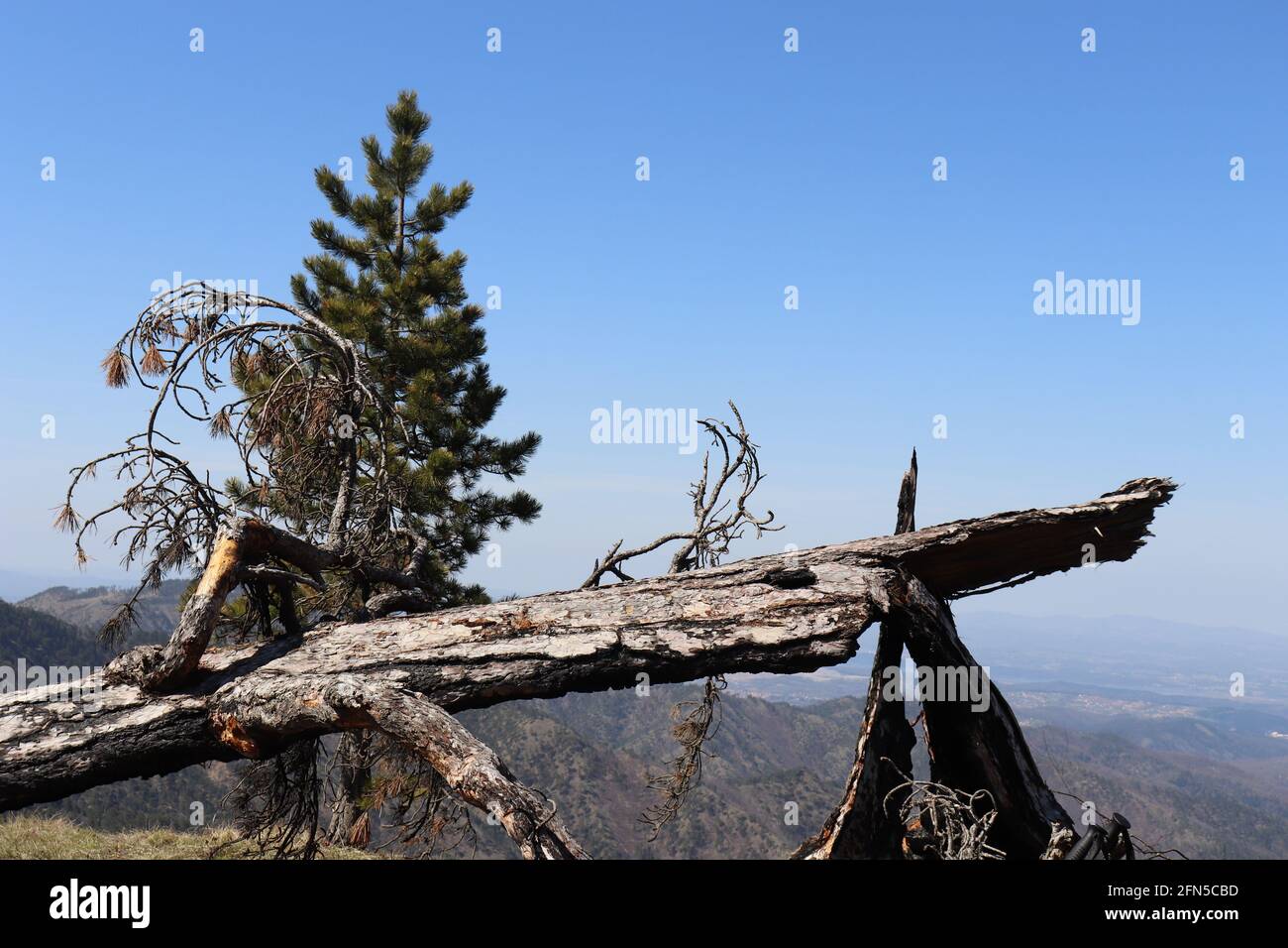 Ciclo degli elementi immagini e fotografie stock ad alta risoluzione ...