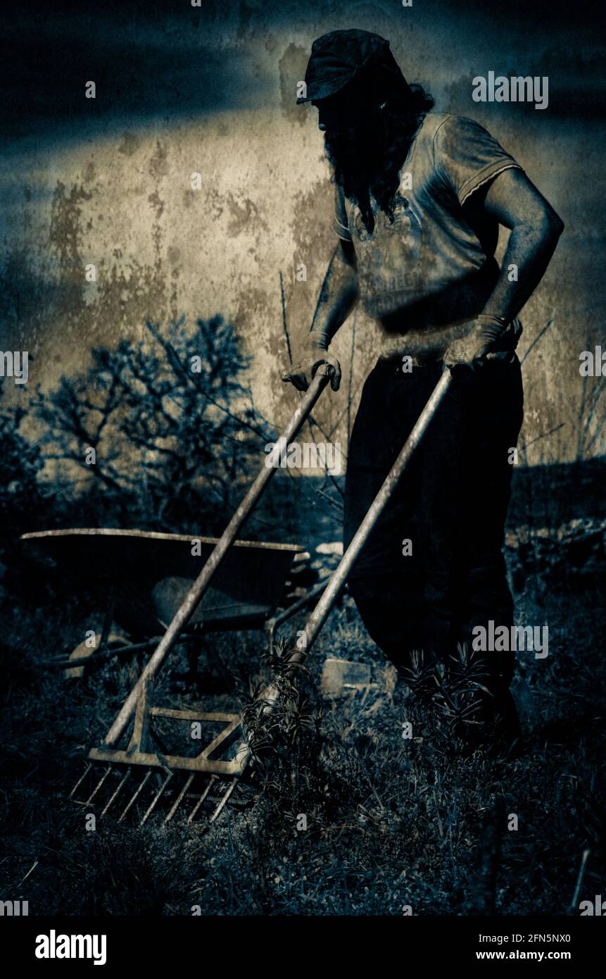 Letto di semina con rivestimento in plastica immagini e fotografie ...