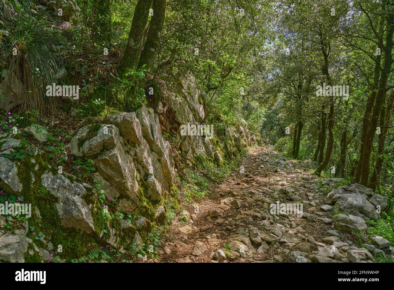 Sentiero escursionistico al Parco Regionale dei Monti Lepini in Italia ...