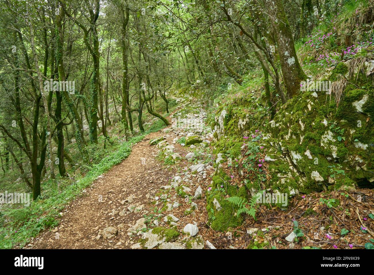 Sentiero escursionistico al Parco Regionale dei Monti Lepini in Italia ...