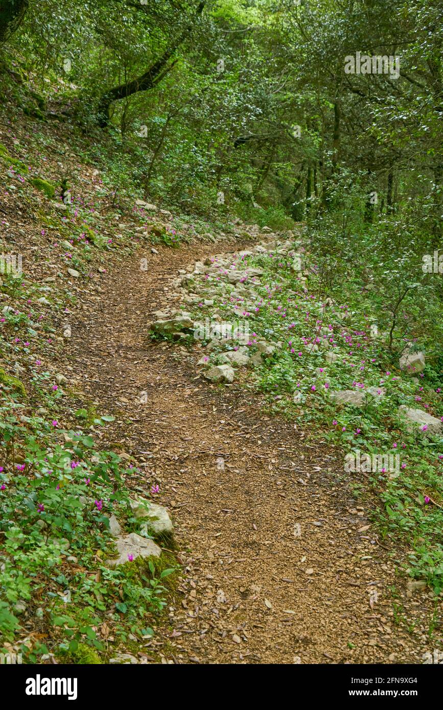 Sentiero escursionistico al Parco Regionale dei Monti Lepini in Italia ...