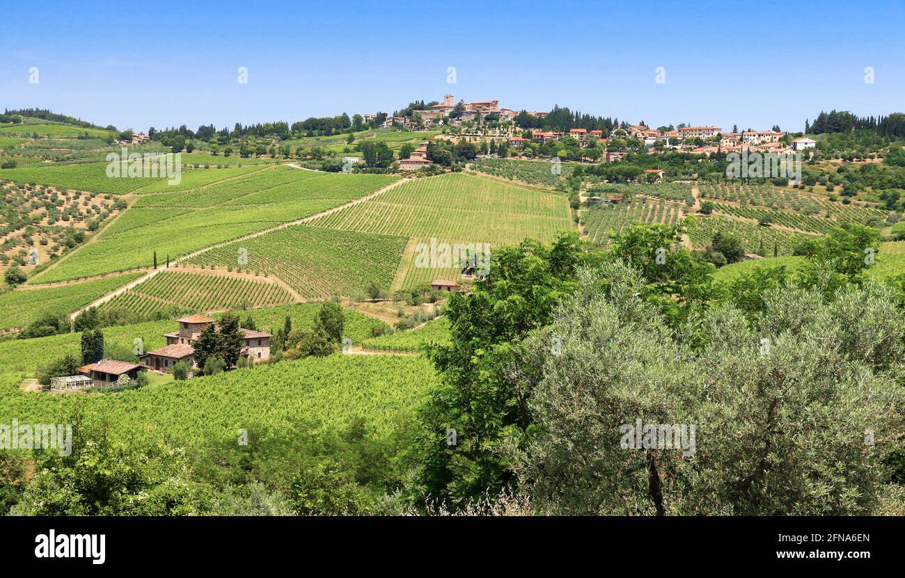 Colline Del Chianti Immagini e Fotos Stock - Alamy