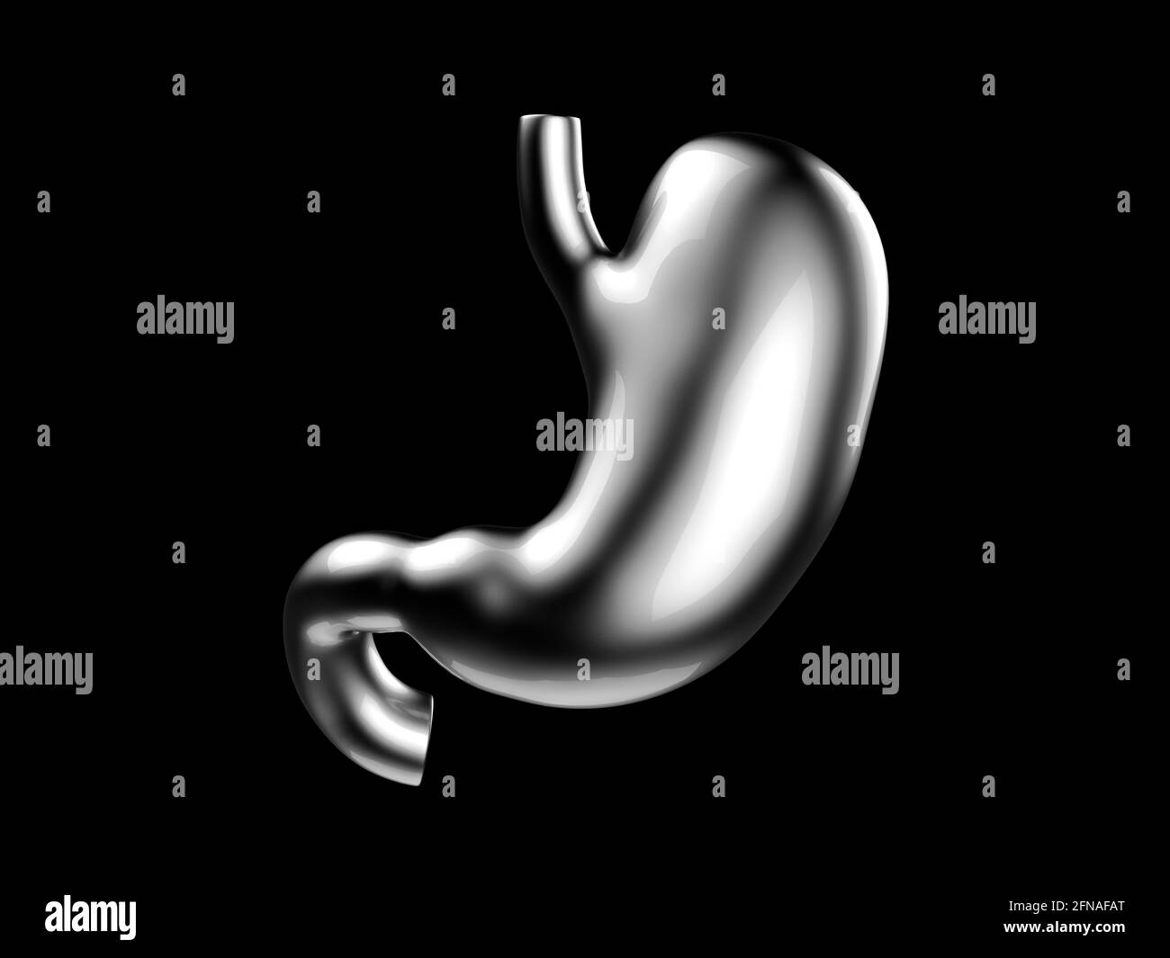 Illustrazione di anatomia dello stomaco umano Foto e Immagini Stock in ...