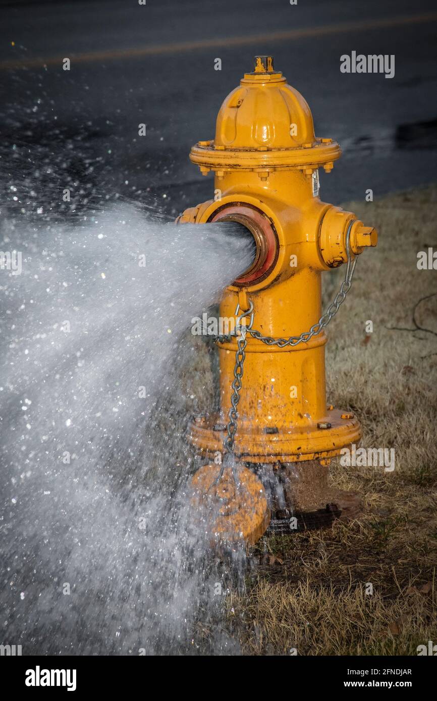 Vieques puerto rico idrante antincendio immagini e fotografie stock ad ...