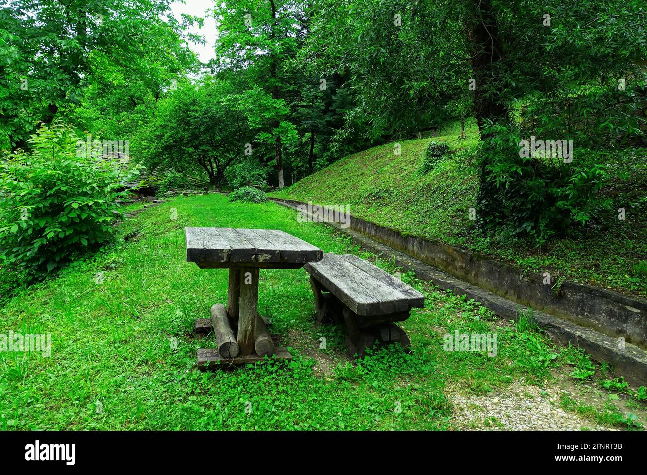 Persone campeggio albero verde parco immagini e fotografie stock ad ...