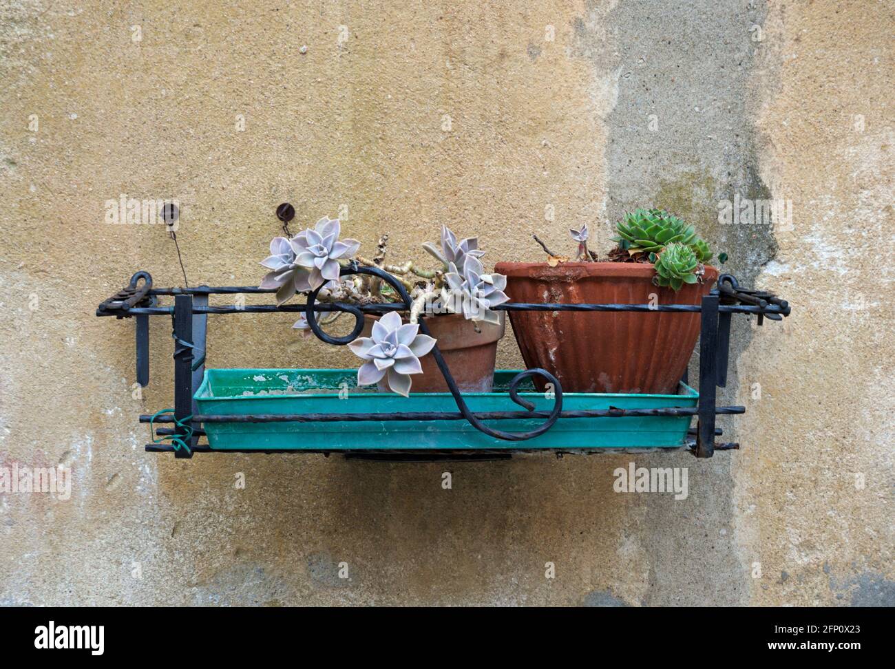 Vasi di fiori appesi immagini e fotografie stock ad alta risoluzione ...