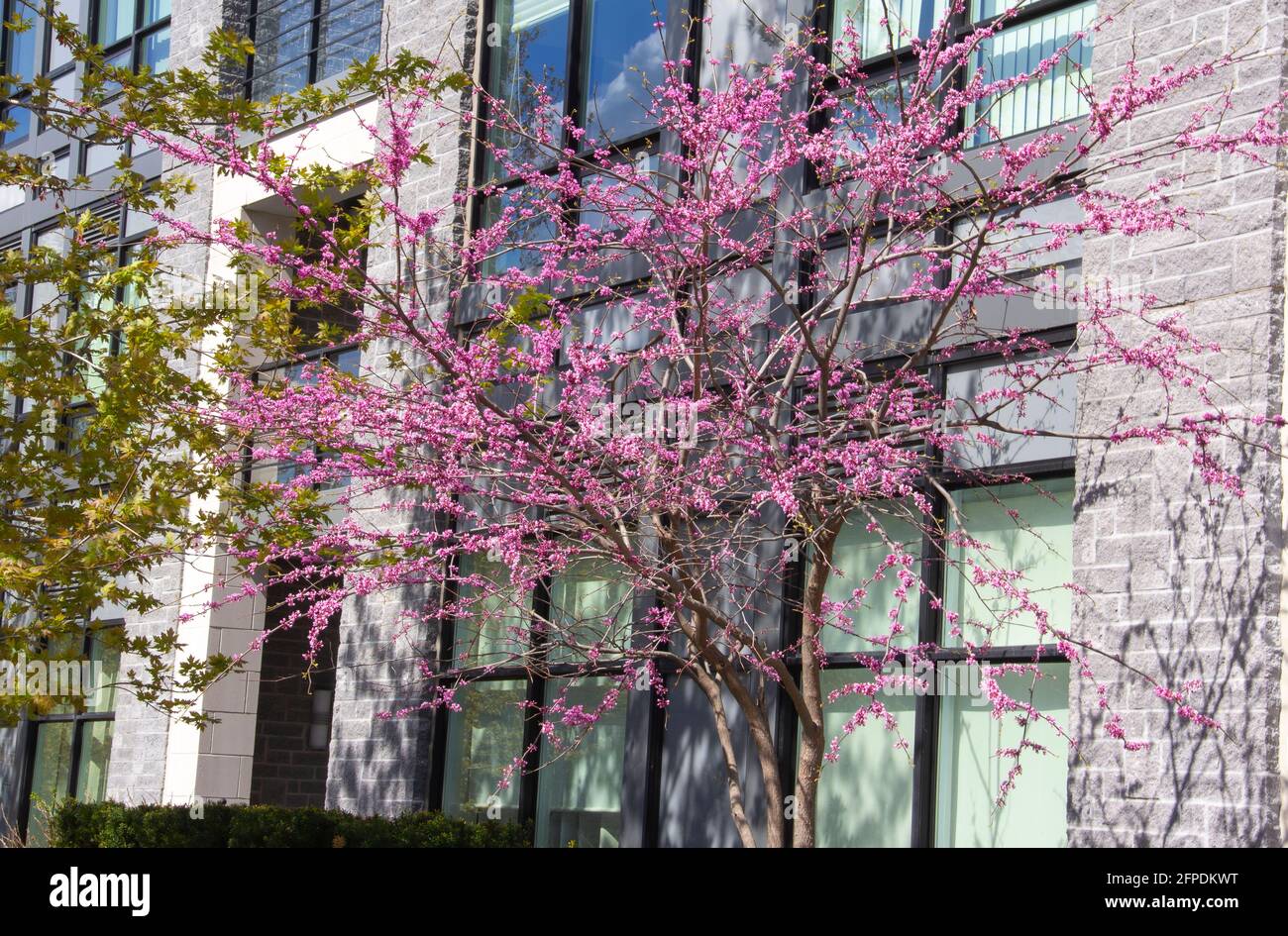 Natura condominio immagini e fotografie stock ad alta risoluzione - Alamy