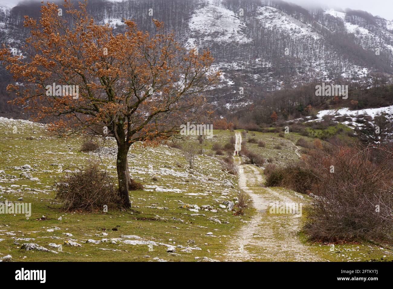 Monte pellecchia immagini e fotografie stock ad alta risoluzione - Alamy