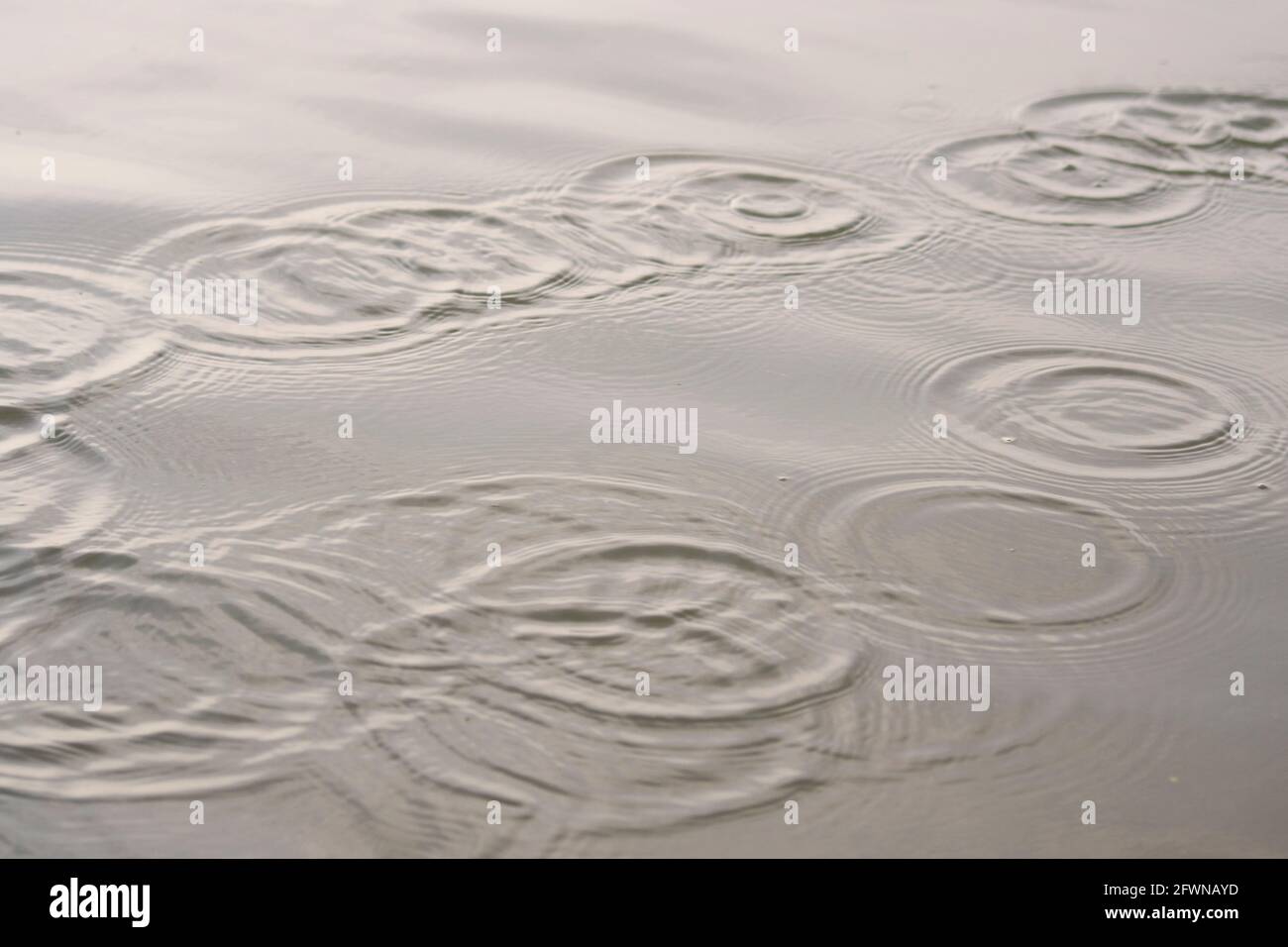 Fiume sacro gange immagini e fotografie stock ad alta risoluzione - Alamy