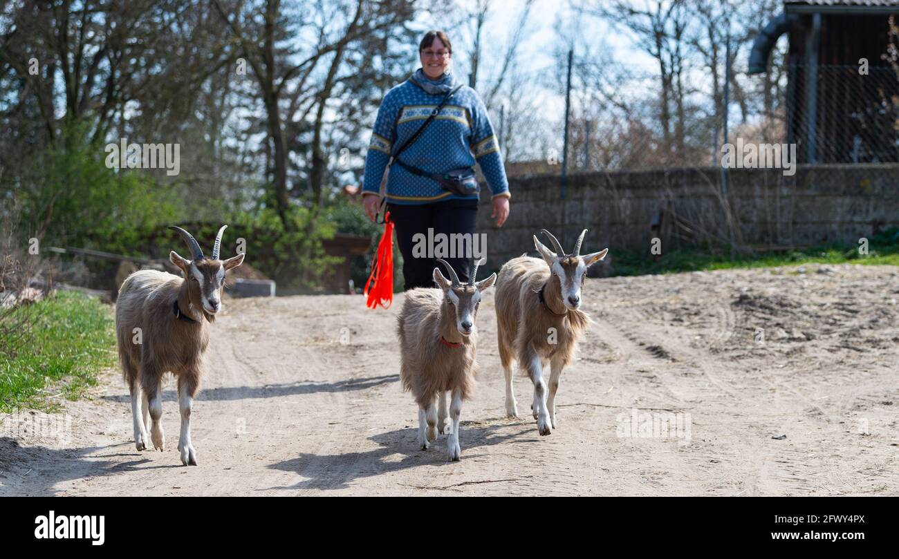 Anna lena dahm immagini e fotografie stock ad alta risoluzione - Alamy