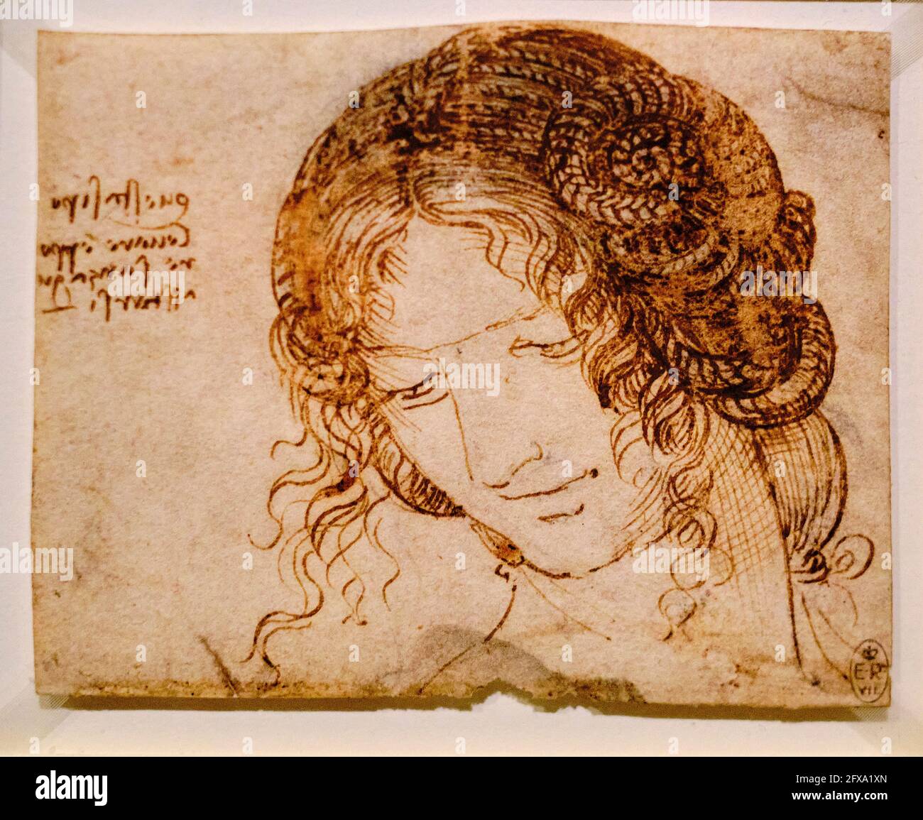 Leda leonardo da vinci immagini e fotografie stock ad alta risoluzione ...