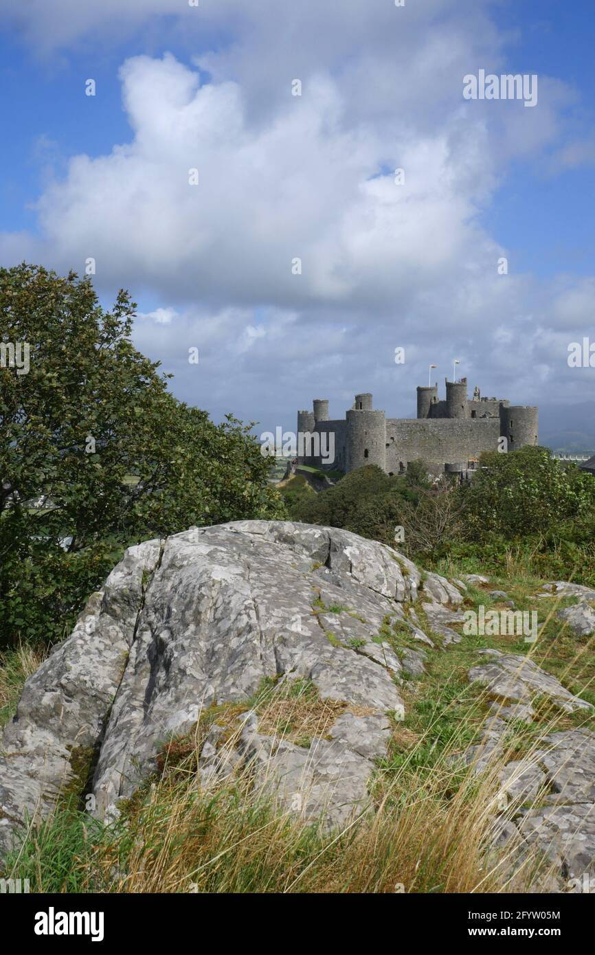 Campo da golf del castello di harlech immagini e fotografie stock ad ...