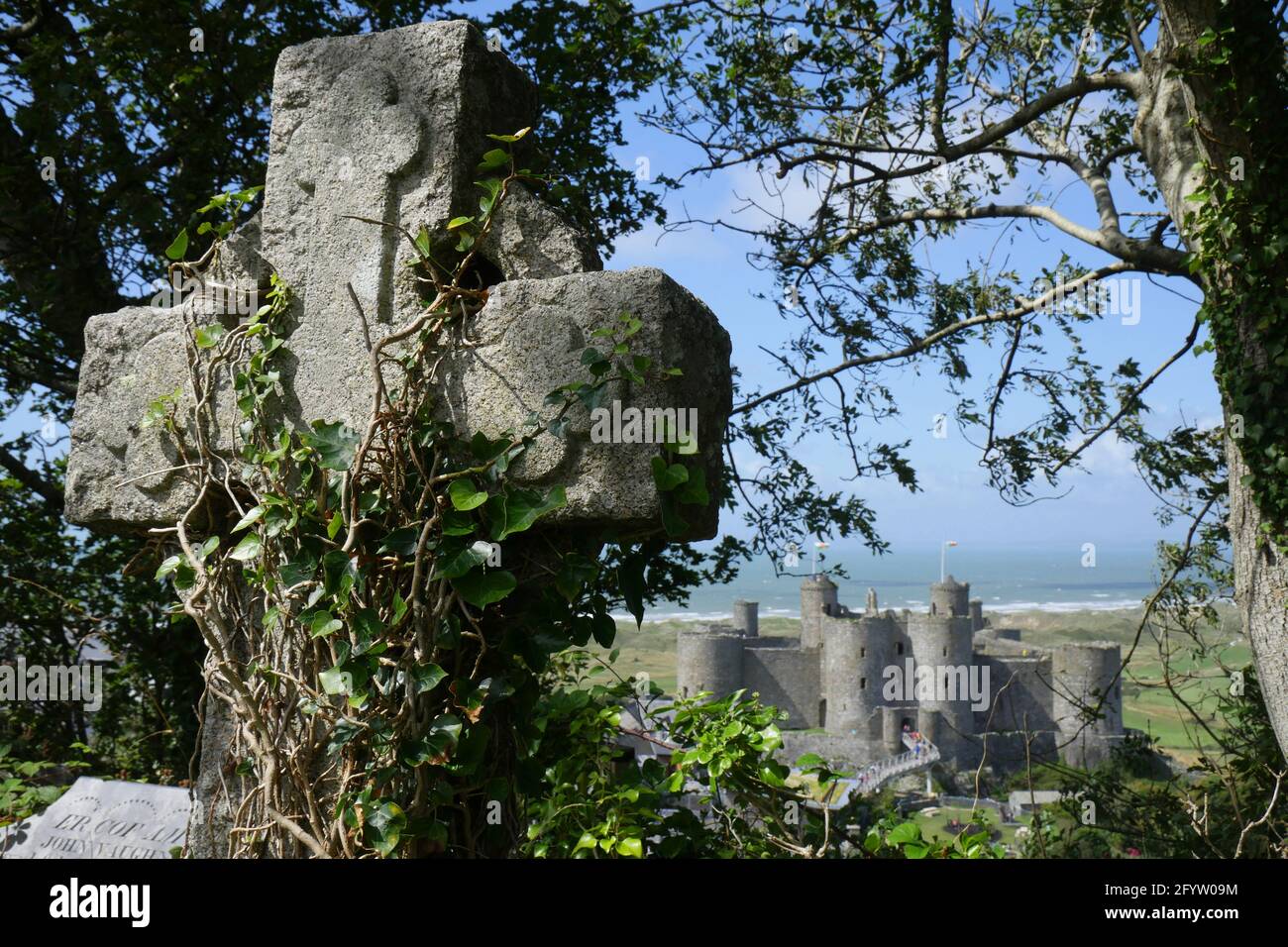 Pietra tombale ricoperta di edera immagini e fotografie stock ad alta ...