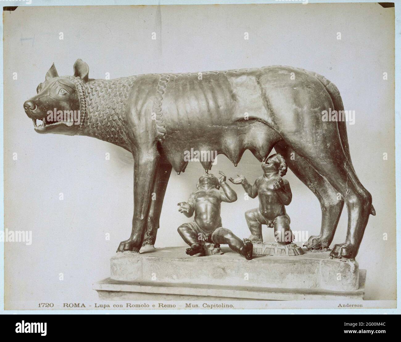 Lupa romolo remo immagini e fotografie stock ad alta risoluzione - Alamy