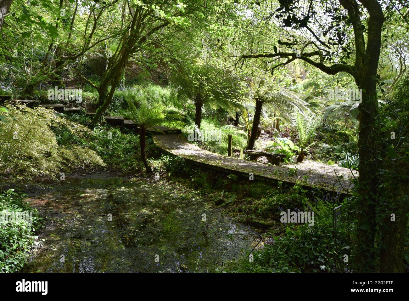Sentiero rialzato immagini e fotografie stock ad alta risoluzione - Alamy