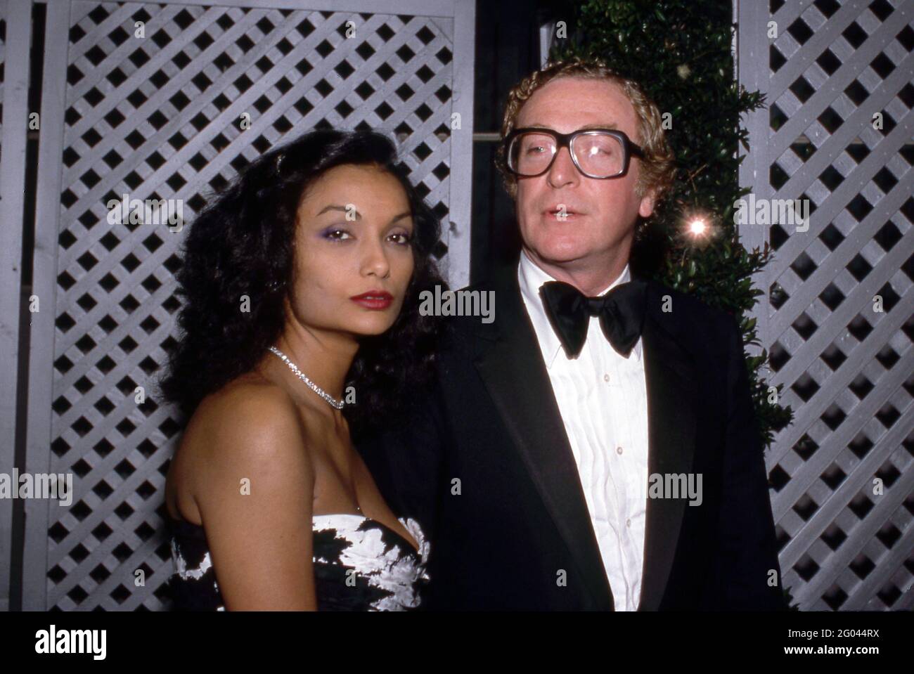 Shakira caine immagini e fotografie stock ad alta risoluzione - Alamy