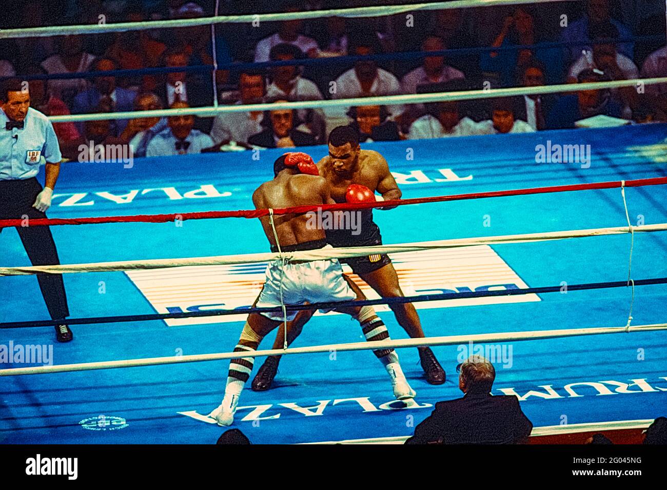 1988 secondi immagini e fotografie stock ad alta risoluzione - Alamy