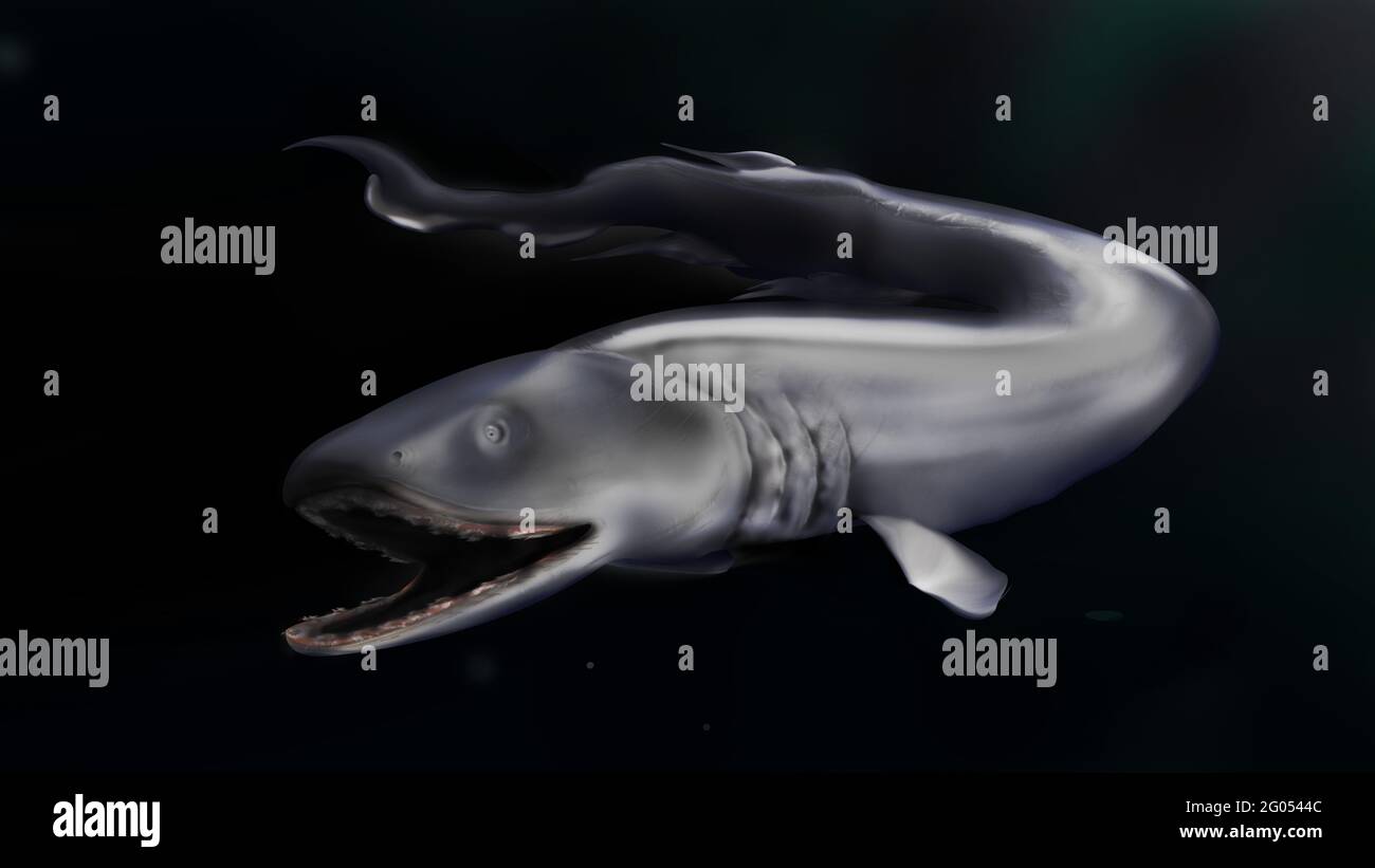 Come lo squalo immagini e fotografie stock ad alta risoluzione - Alamy