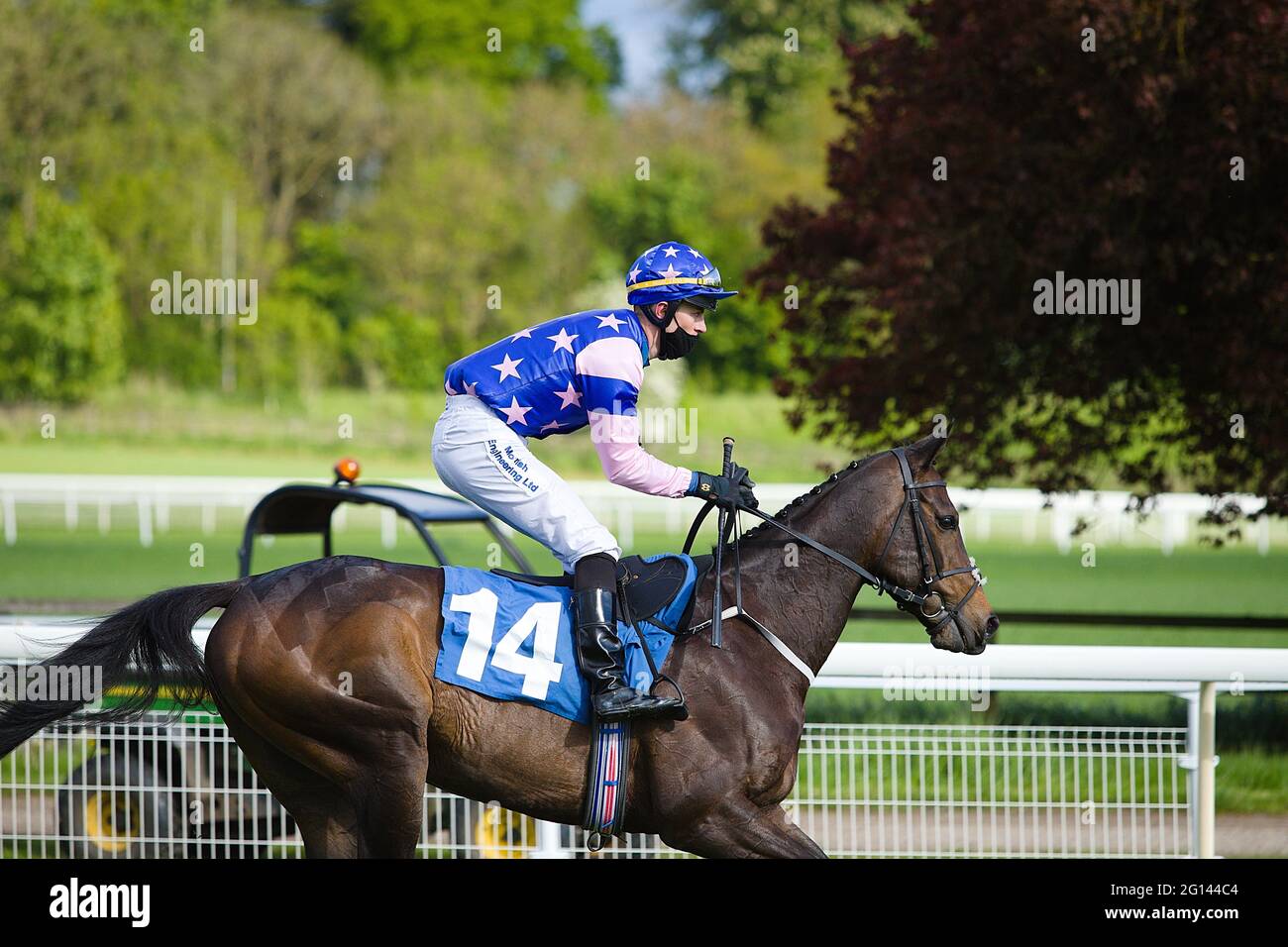 Patrick corse di cavalli immagini e fotografie stock ad alta ...