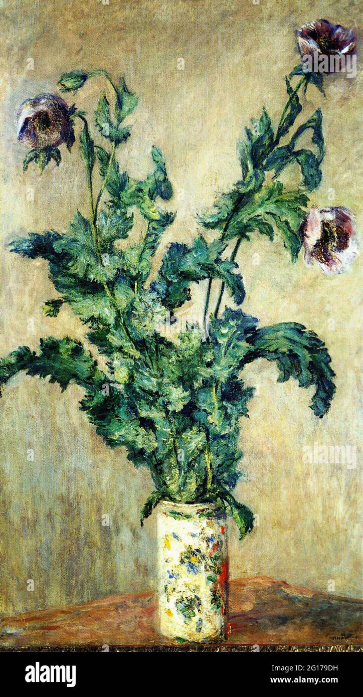 Monet papaveri immagini e fotografie stock ad alta risoluzione - Alamy