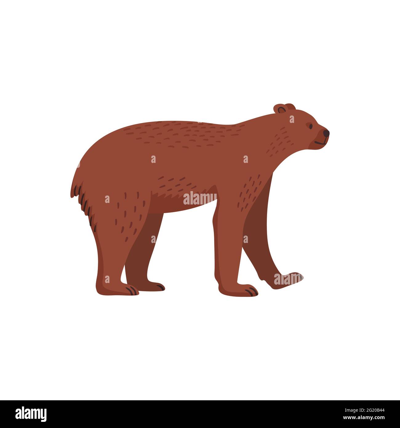 Orso gigante dalla faccia corta immagini e fotografie stock ad alta ...