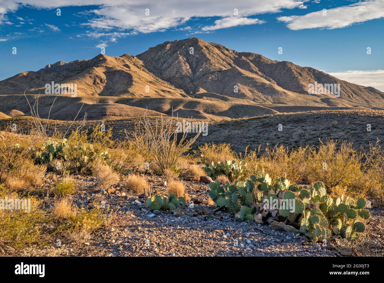 Montagna di pinto immagini e fotografie stock ad alta risoluzione - Alamy
