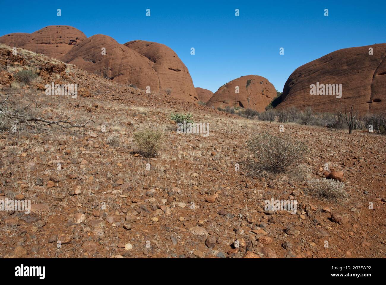 Australian outback immagini e fotografie stock ad alta risoluzione - Alamy