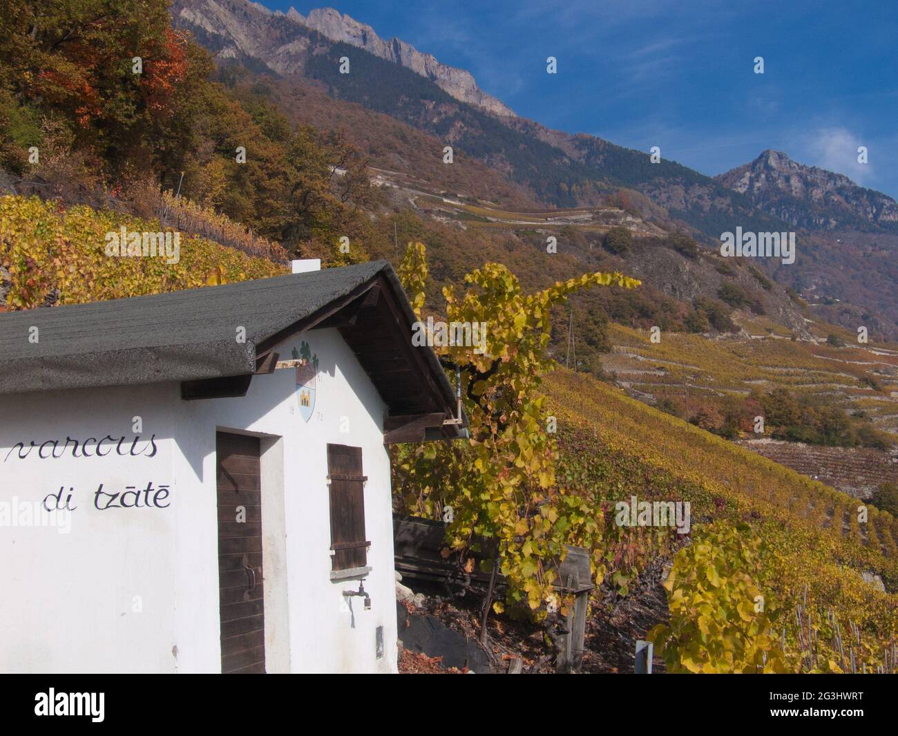 Vigneto svizzera immagini e fotografie stock ad alta risoluzione - Alamy