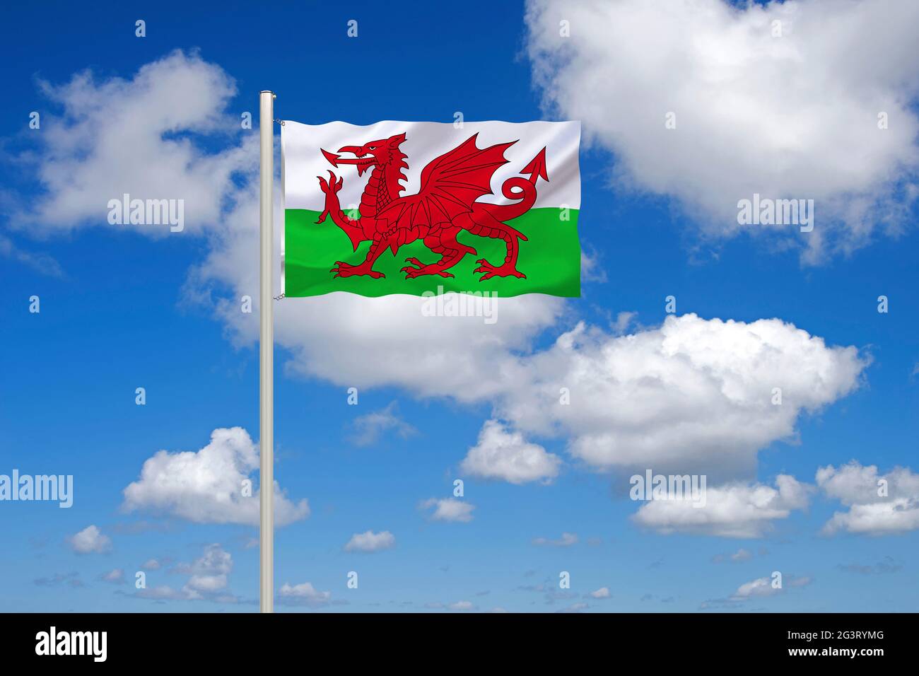 Simboli simbolo del galles immagini e fotografie stock ad alta ...