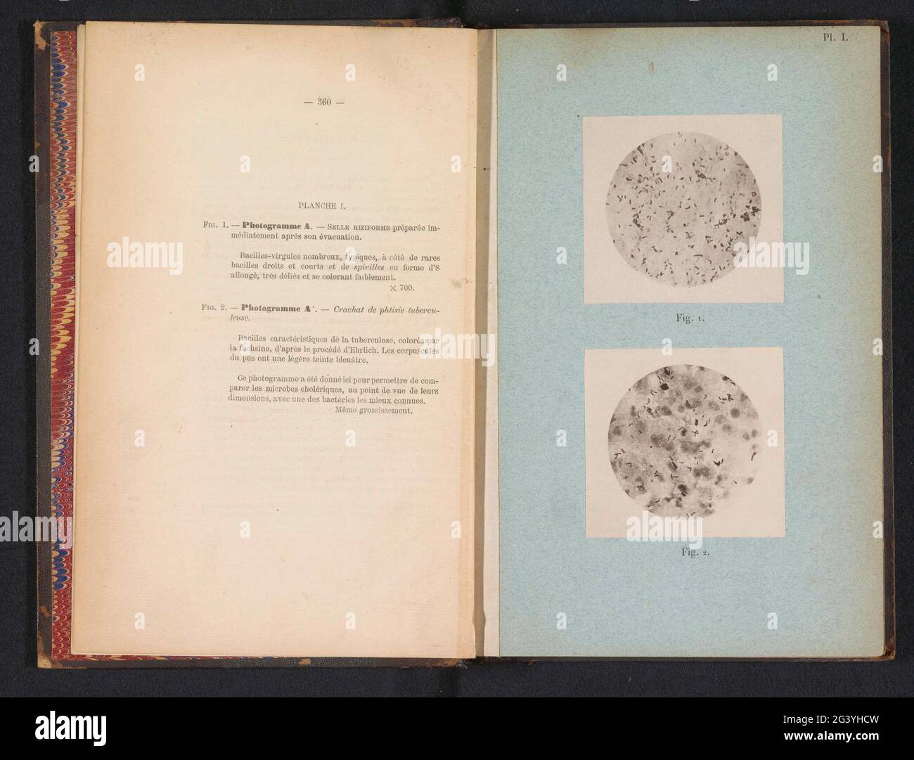 Microscopio di confronto immagini e fotografie stock ad alta ...