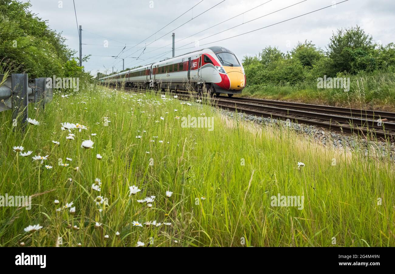 Logo lner immagini e fotografie stock ad alta risoluzione - Alamy